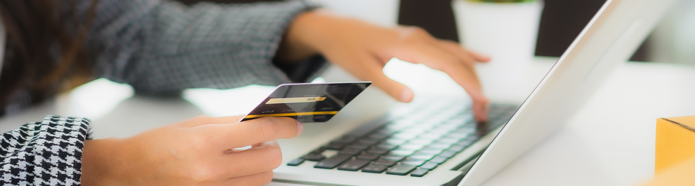 Make Payment , Make online Payment - DPauls Travel & Tour